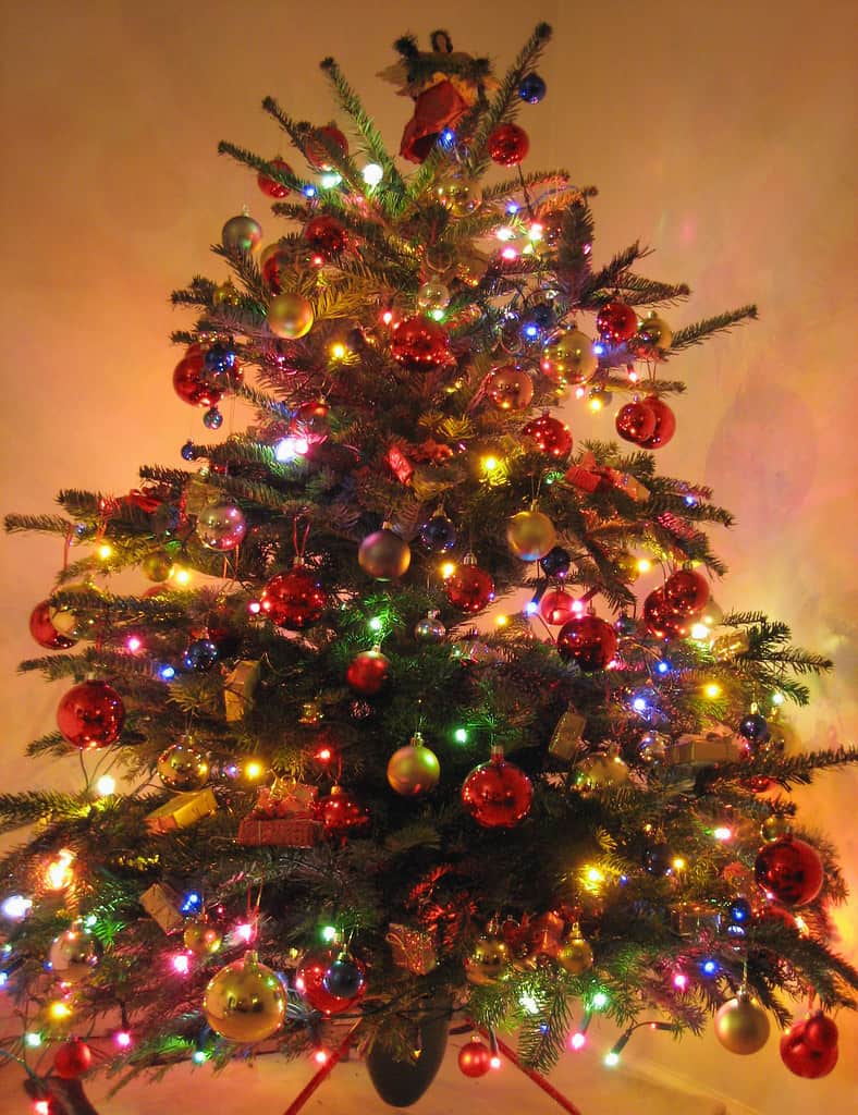 Pagan Yule Tree